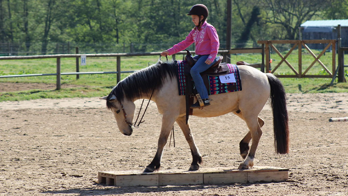 Résultats et classement du challenge Western 2024 | CRE Nouvelle Aquitaine