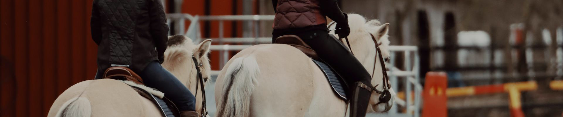 BFE Equi-social 2023-2024 | CRE Nouvelle Aquitaine